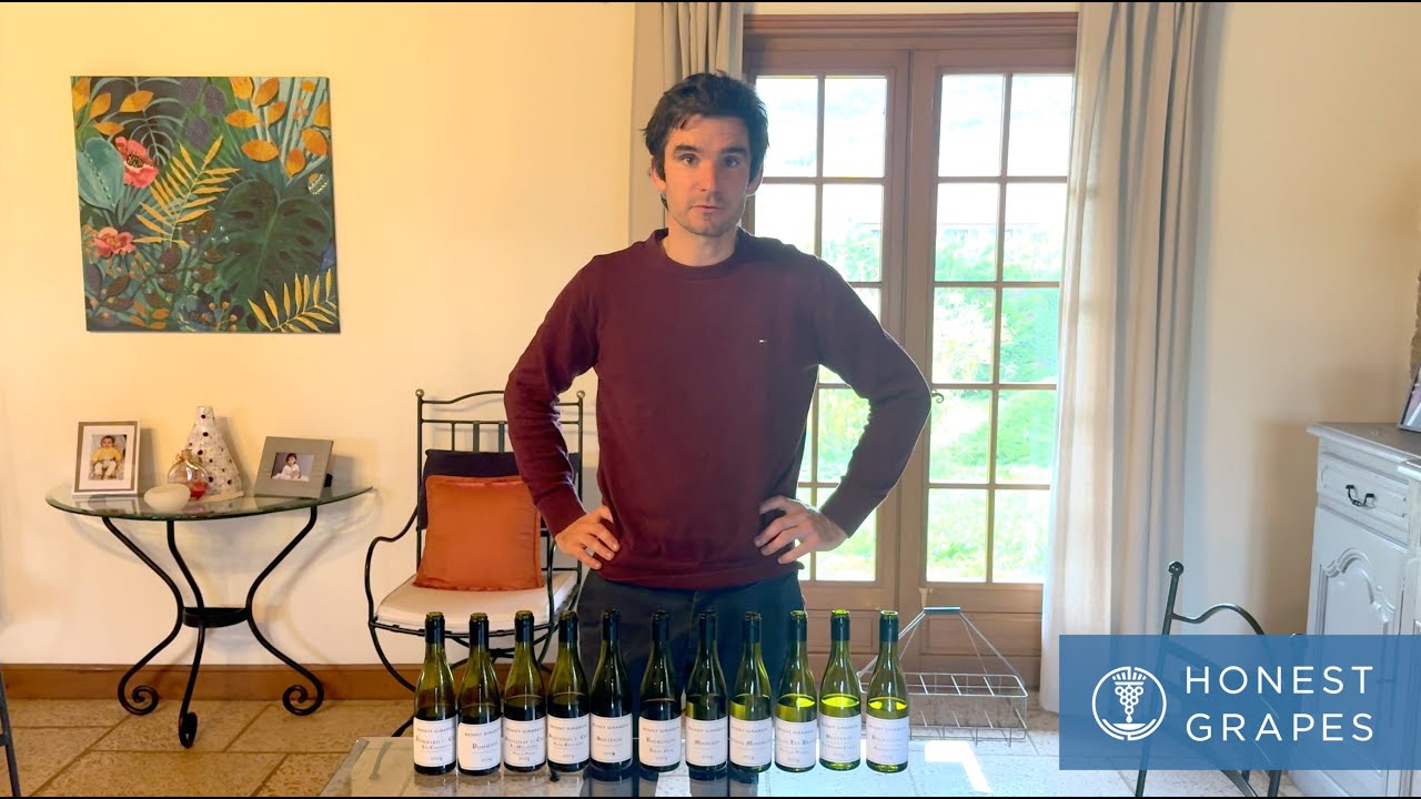 Domaine Benoit Girardin: The 2023 Vintage - YouTube