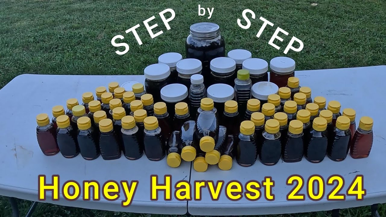 HoneyBell Homestead 2024 Honey Collection - YouTube