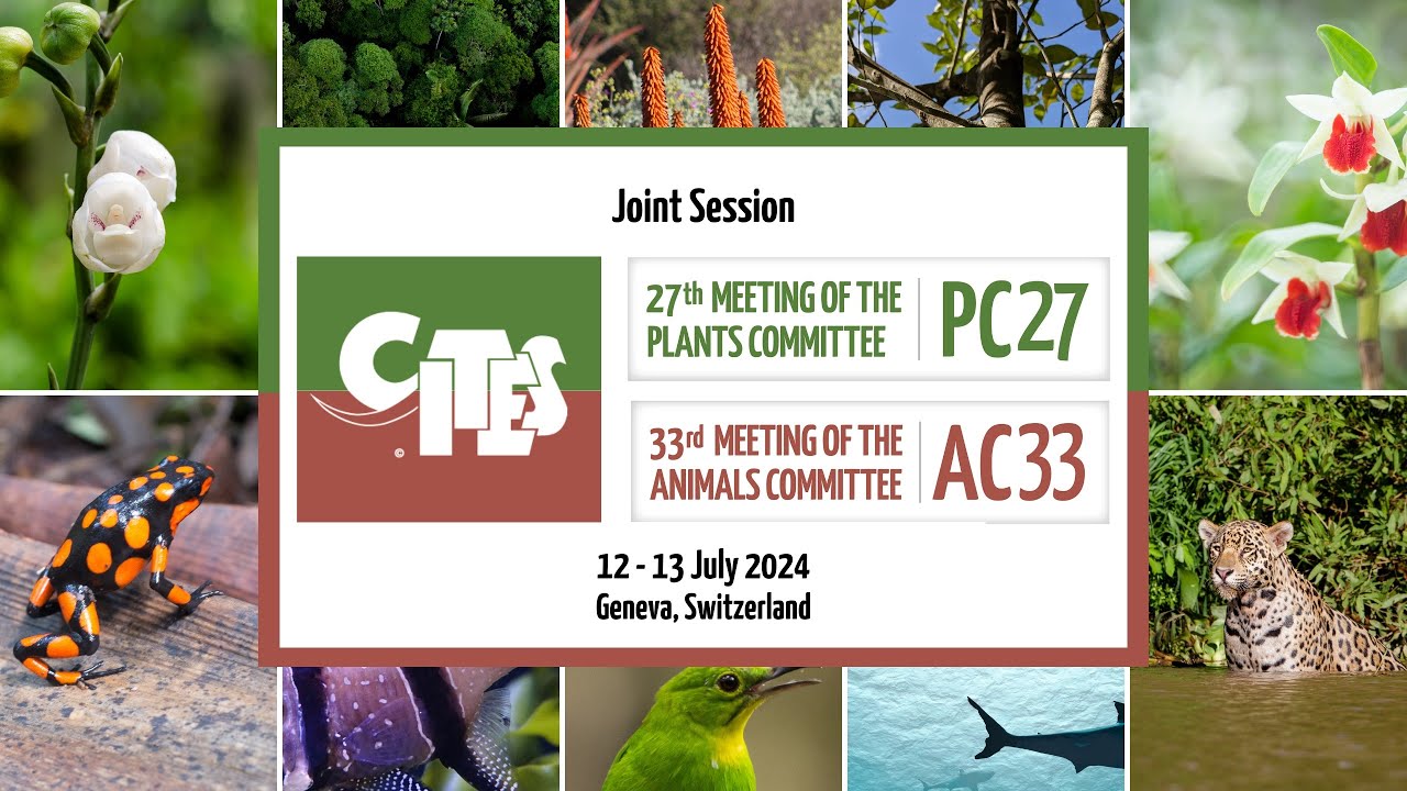 33rd Meeting of the CITES Animals Committee and Joint Meeting PC27/AC33 ...