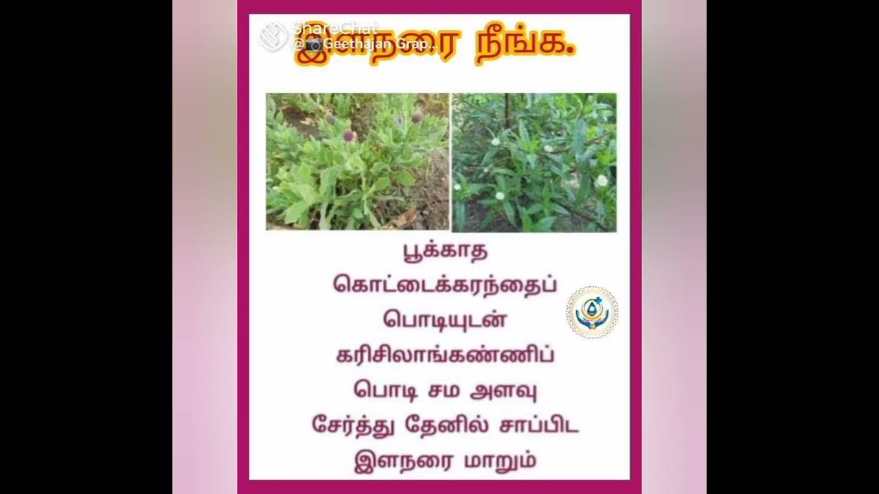 Unga Support Vanum Subscribe Pannuga Youtube