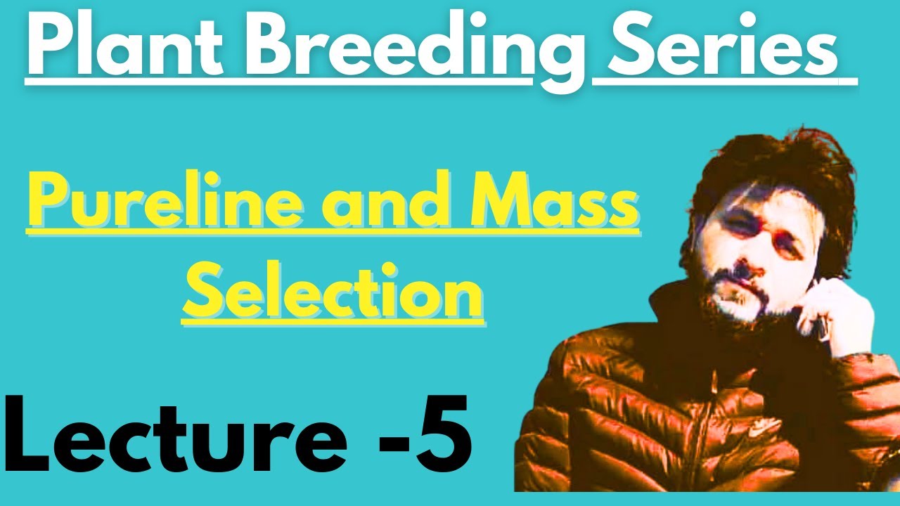Pure Line Selection vs Mass Selection | Plant Breeding | ICAR, ARS, NET ...