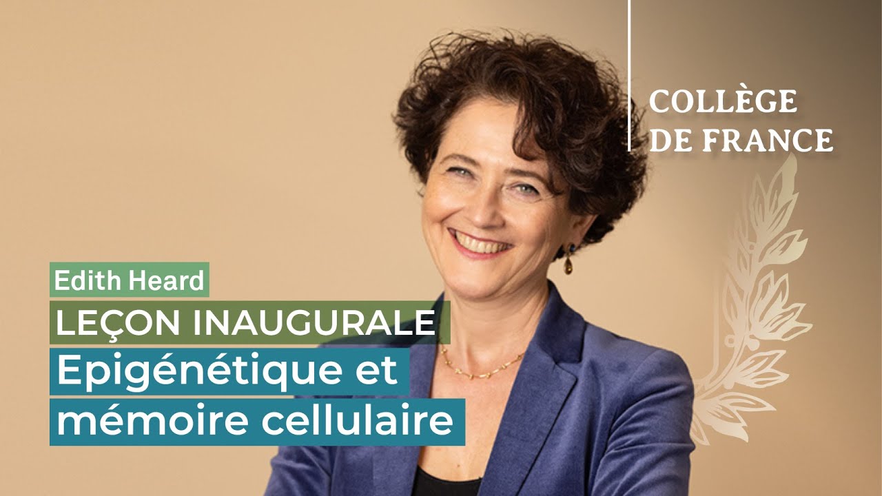 Epigénétique et mémoire cellulaire - Edith Heard (2012) - YouTube