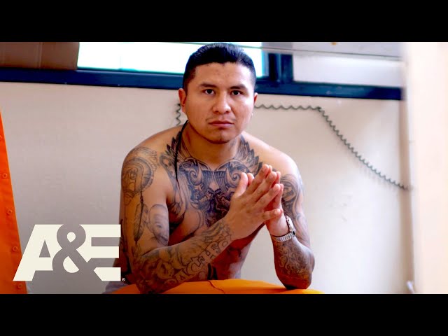 Prison Gangs