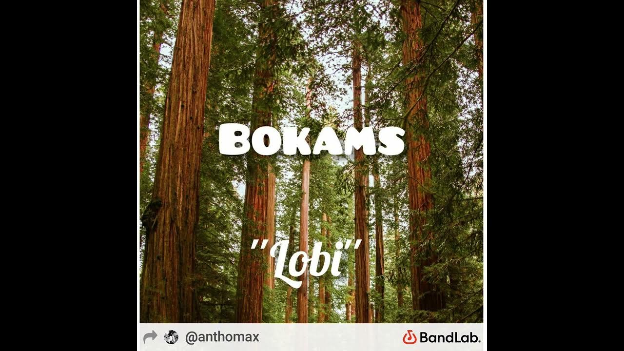 bokams '' lobi'' - YouTube
