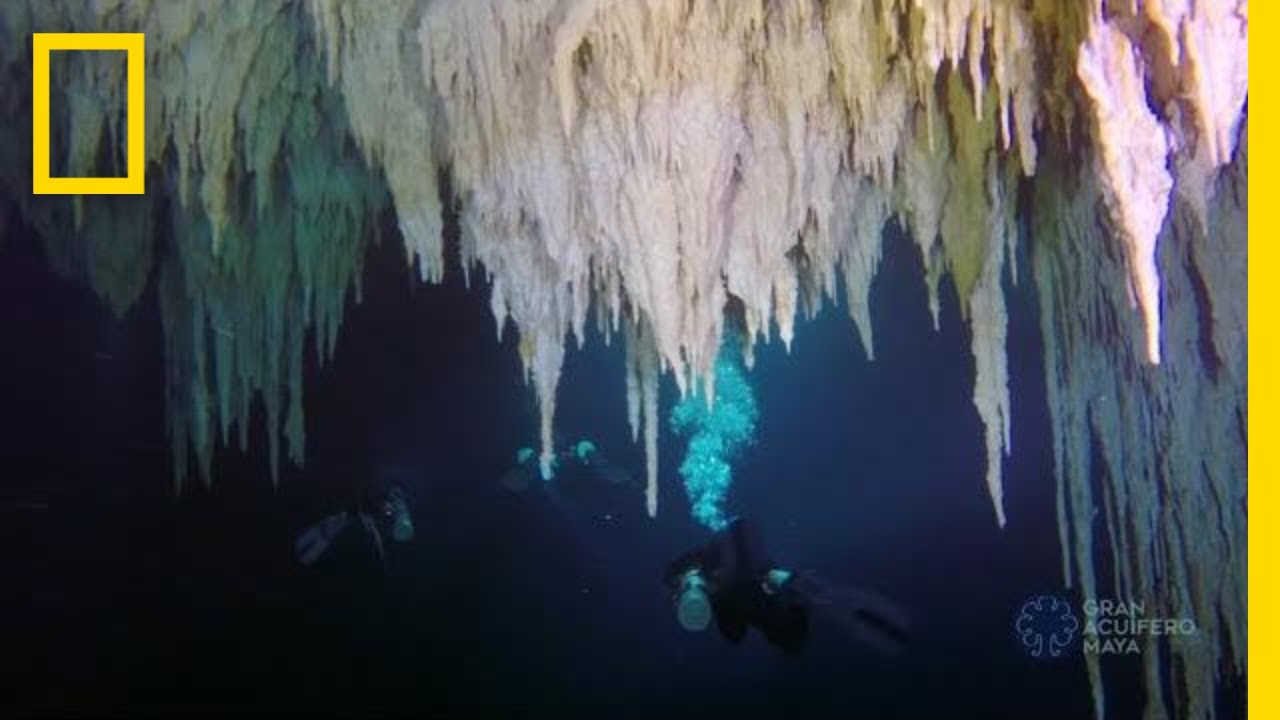 Explore The World s Largest Underwater Cave National Geographic Ctm explore-the-world-s-largest-underwater-cave-national-geographic-ctm