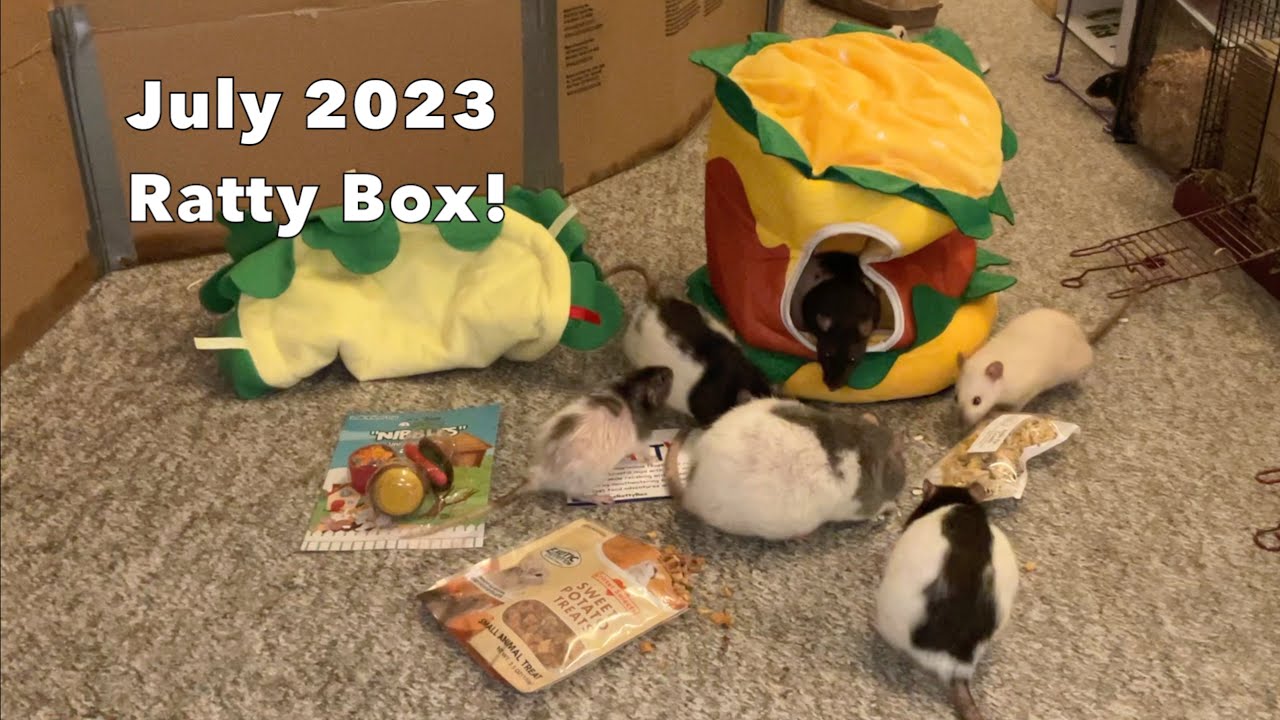 Reviewing July 2023's Ratty Box! - YouTube