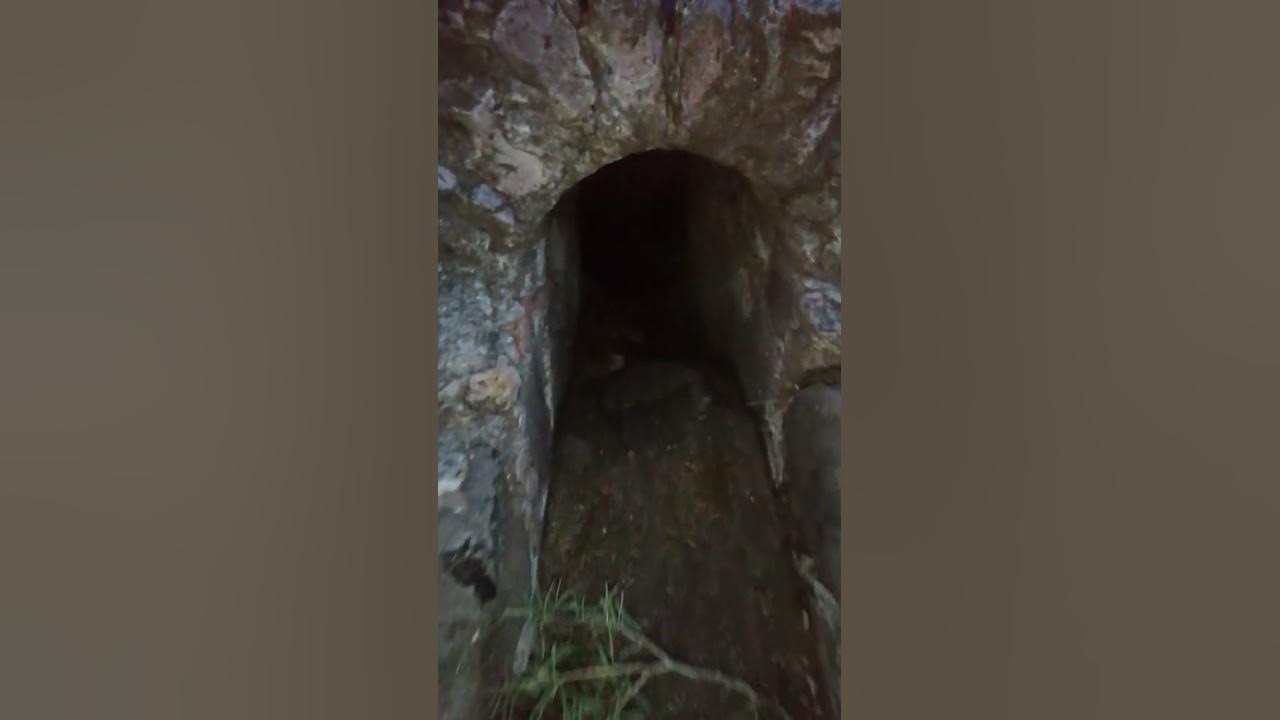 Explorando rincones del parque Metropolitano | León, Gto. - YouTube