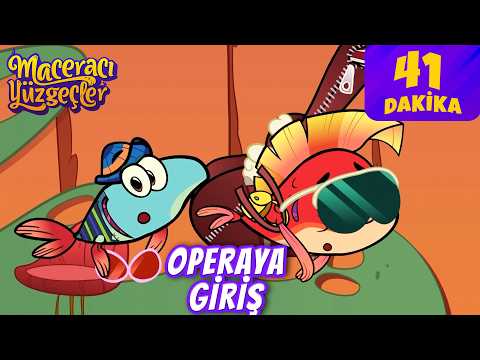 ⭐Maceracı Yüzgeçler | Operaya girişi Biba ve Hamsi Taka'dan öğrenelim😂😂🥰
