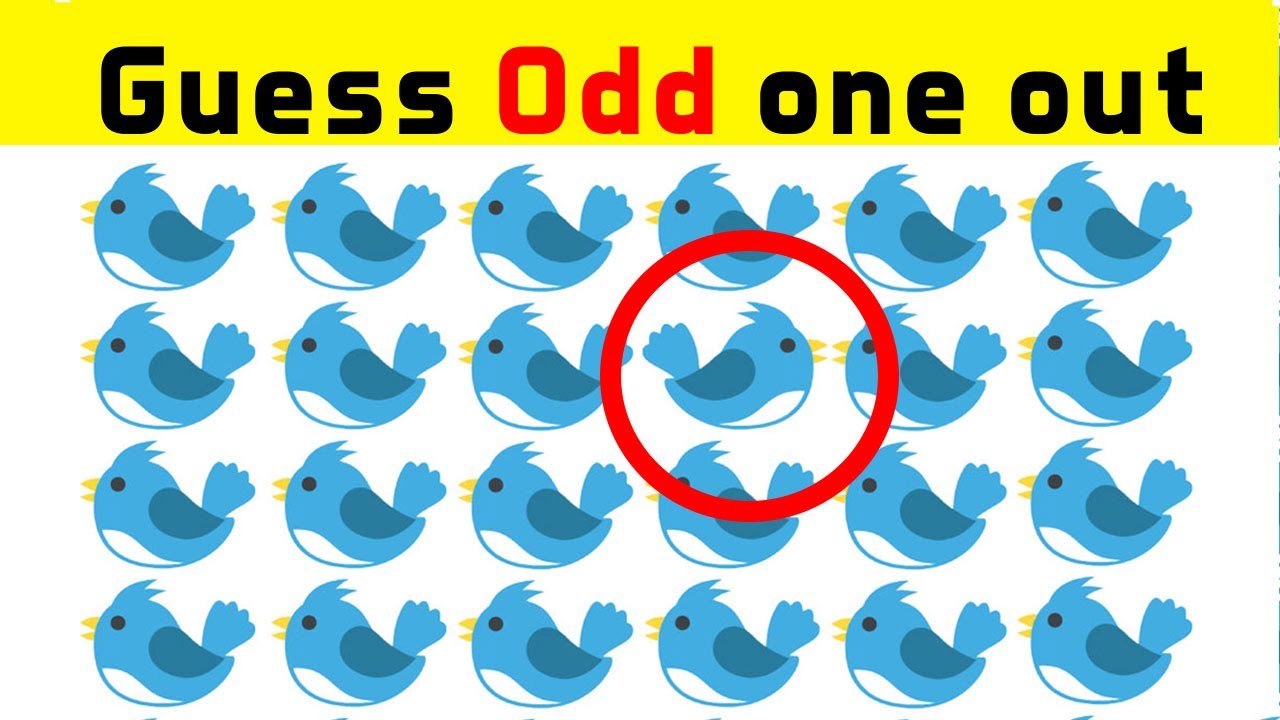 Can U find the Odd #bird one out? #findtheoddemojiout#findtheanswer# ...