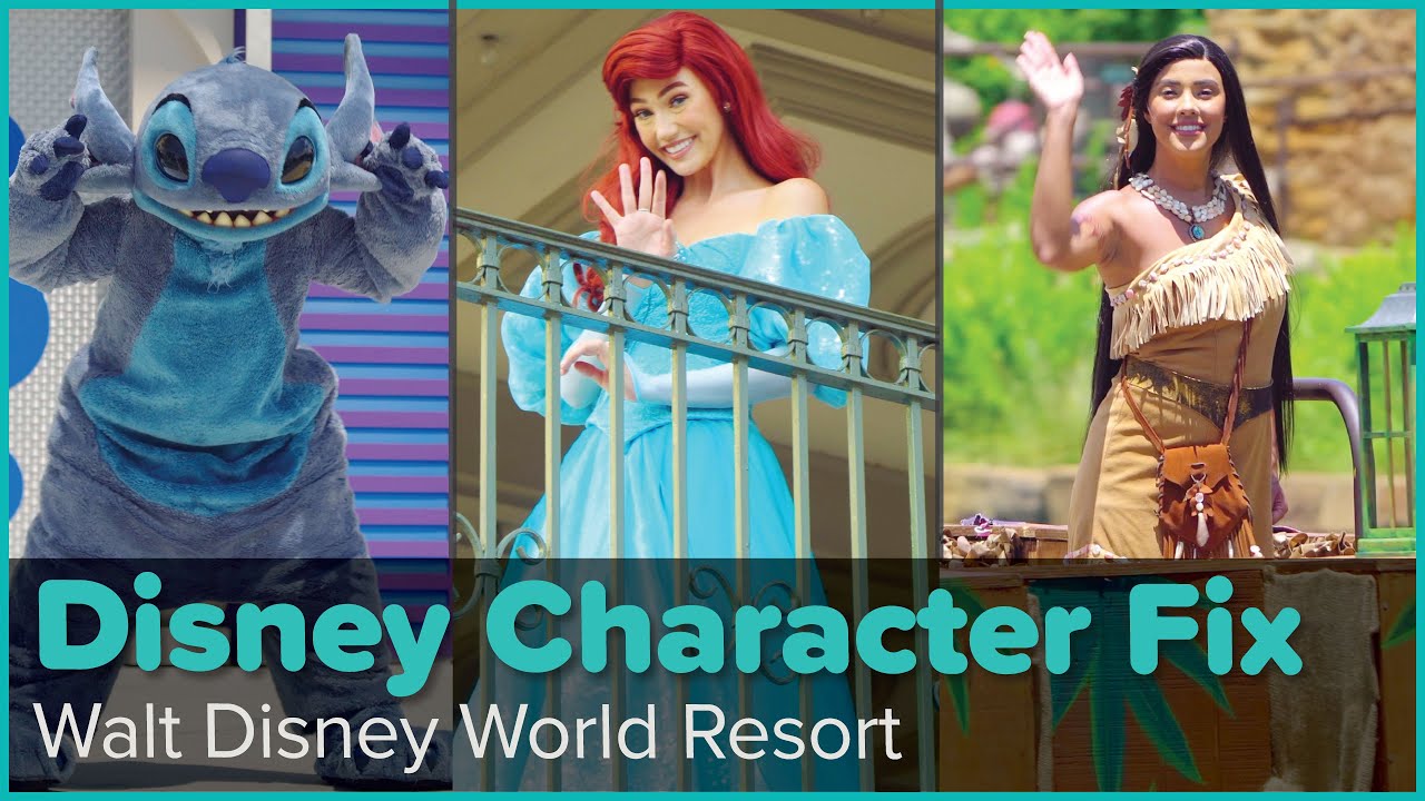 How to Get Your Disney Character Fix Right Now | Walt Disney World ...