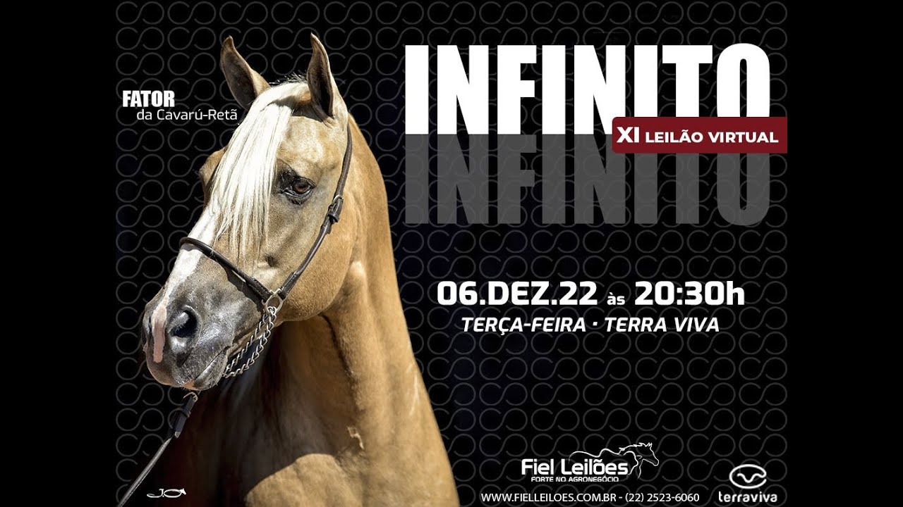 XI LEILÃO VIRTUAL HARAS INFINITO - YouTube
