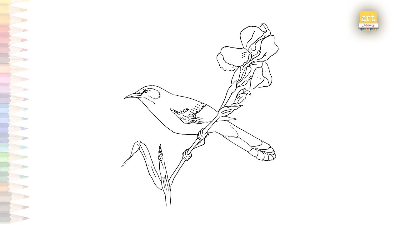 State Flower and State Bird drawing video | How to draw A Bird step by ...