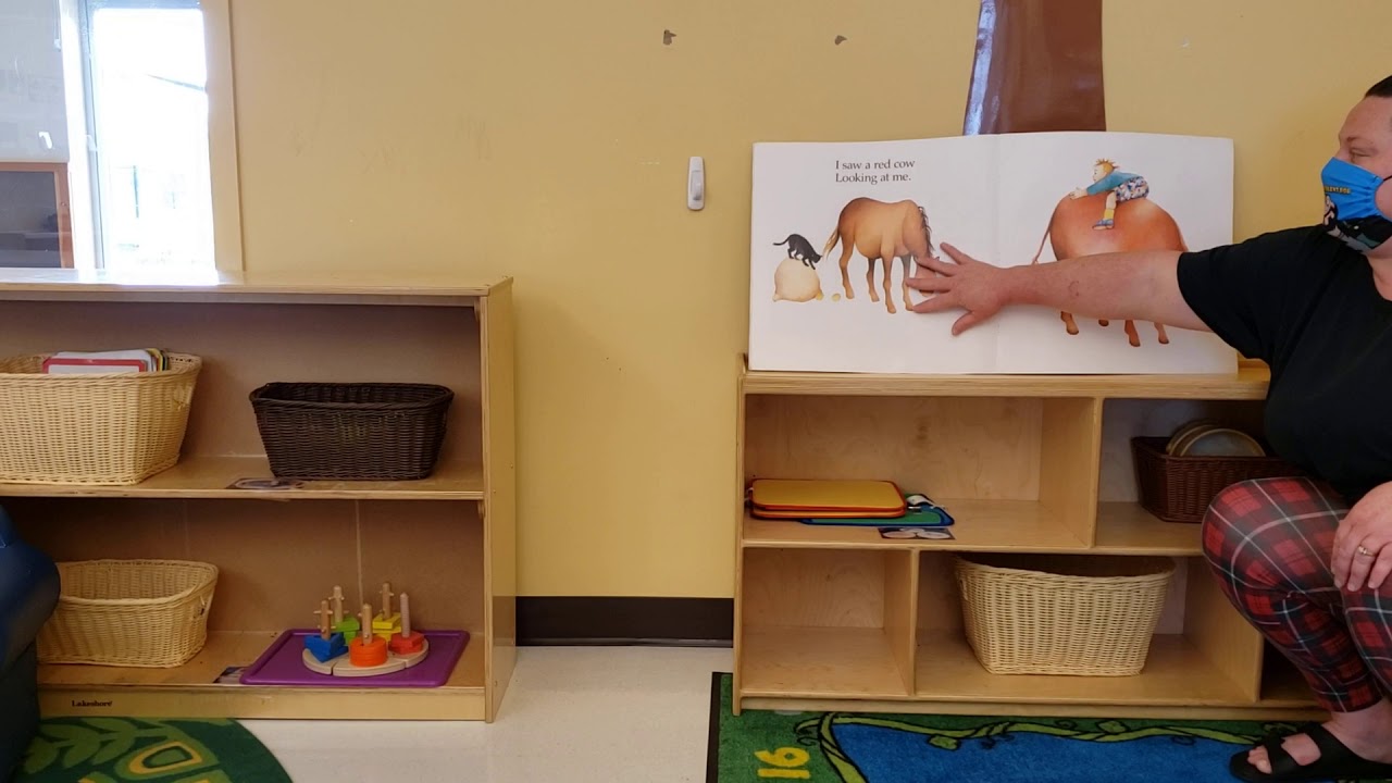 Raccoon Room 7/9/2020 - YouTube