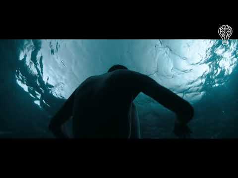 Arcade - Duncan Laurence | ESC 2019 Winner | DIY Acapella - YouTube