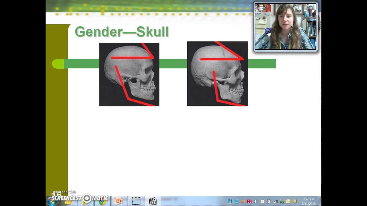 Forensic Anthropology (Bones) - YouTube