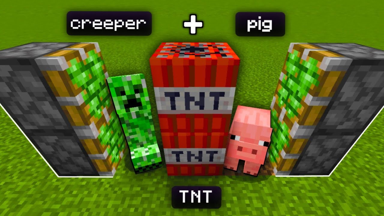 creeper + TNT + pig = ??? | Minecraft Meme - YouTube