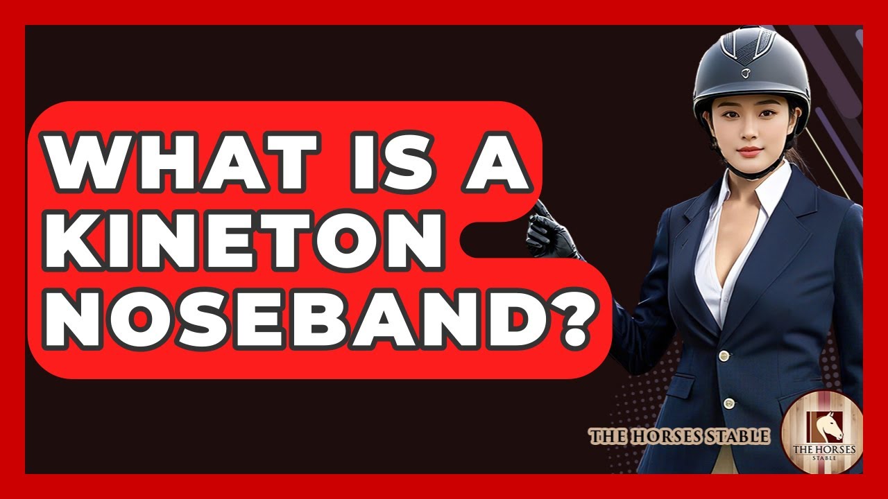 What Is A Kineton Noseband? - The Horses Stable - YouTube