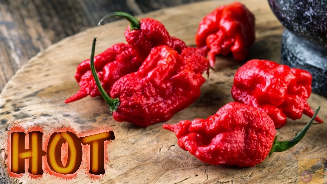 10 Hottest Chili Peppers Around The World - YouTube