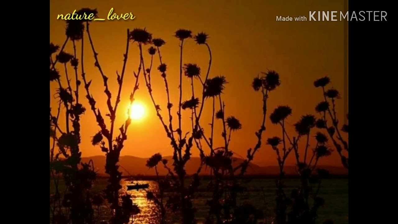 Loving every single photo🌞🌝 - YouTube