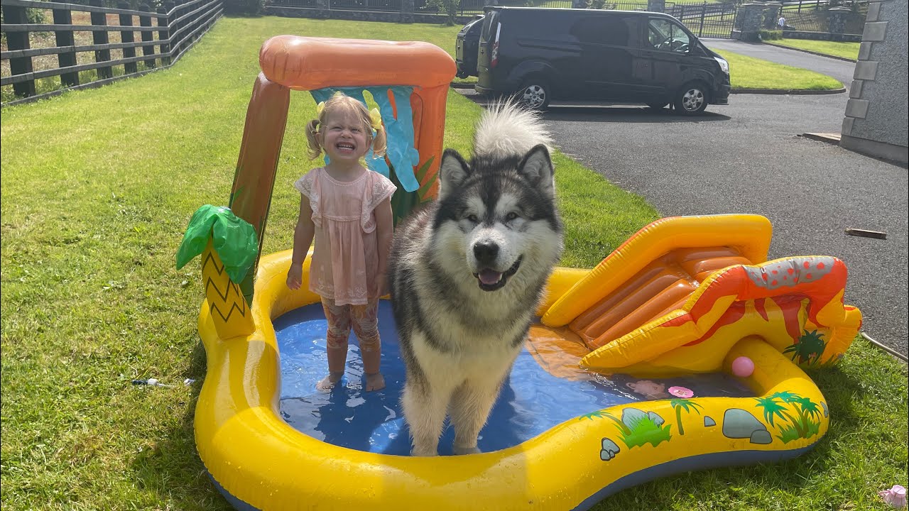 Adorable Baby Girl And Her Wolves Play In The Pool! (Cutest Ever ...