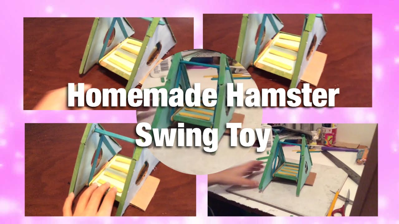 Homemade Hamster Toy - YouTube