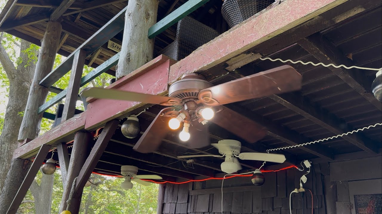 Ceiling Fan Destruction #95 - YouTube