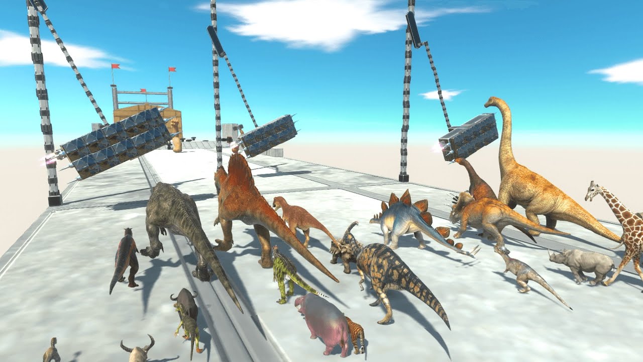 Who will win?Racing at the Adventure Park All Animals&Dinosaurs -Animal ...