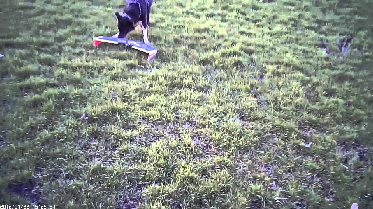 Radio control planes using various KFm wings - YouTube