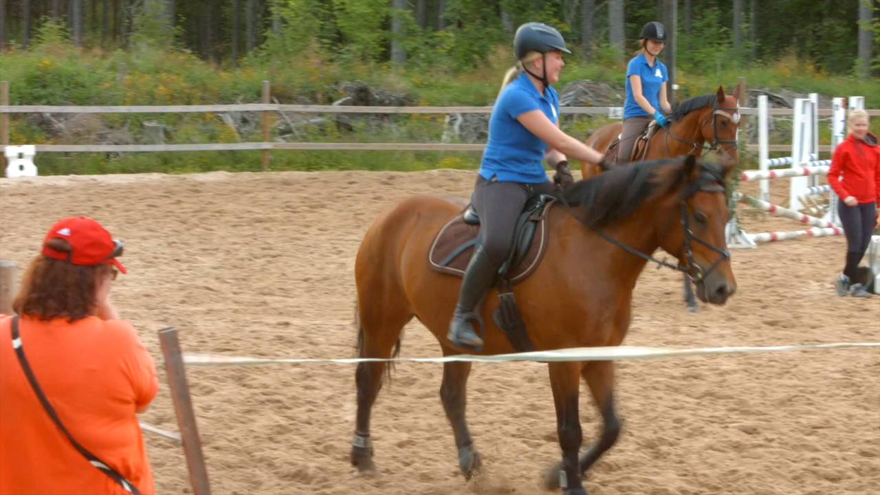 Koivisto Roosa & Goofy II, Uusinta 70+80cm @ Terhin Talli 20.7.2016 ...