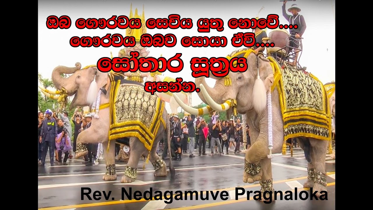 SOTHARA SUTTA / සෝතාර සූත්‍රය - YouTube