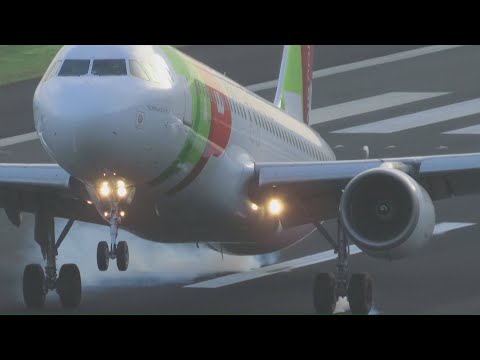 AMAZING Crosswind Closeup a320 Landing - YouTube