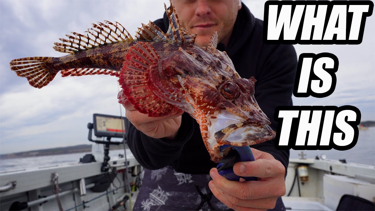 Catching a Fish That Shouldn't Exist - YouTube