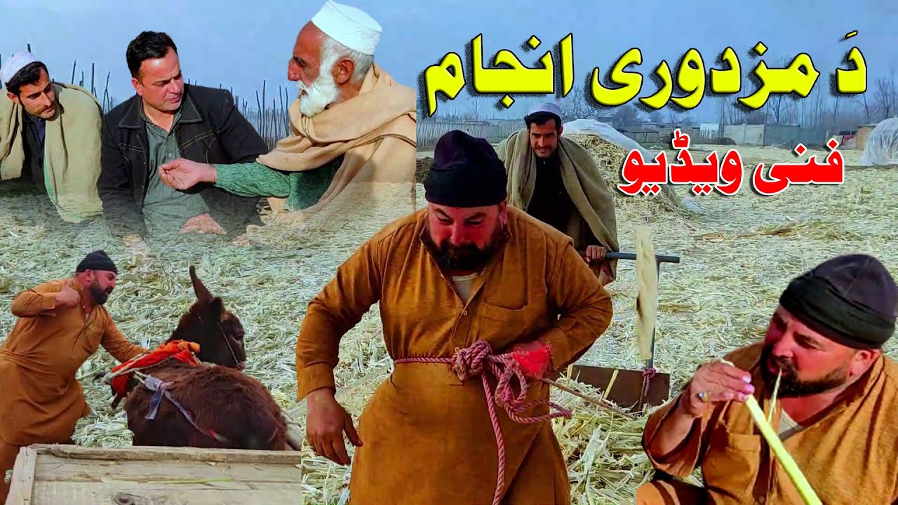 Da Mazdori Anjam Funny Video By ||Harichand Vines || - YouTube