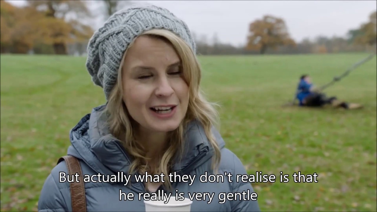 The Last Guardian - TV Commercial (UK) - YouTube