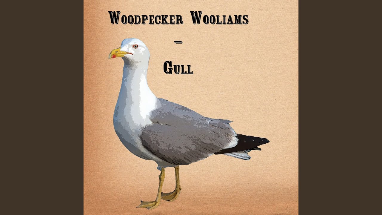 Gull (Peter Lyons Remix) - YouTube