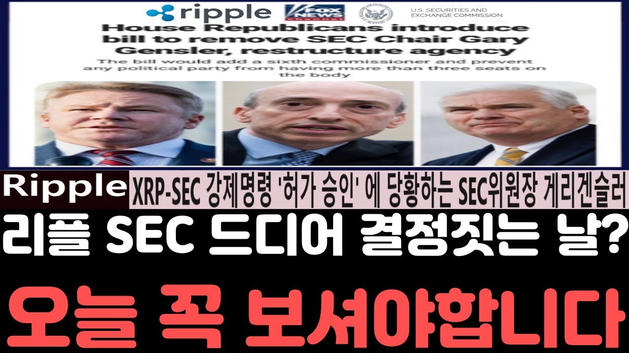 리플전망 리플 Xrp Sec 드디어 결정짓는 날이 찾아왔습니다 Xrp 급등랠리 오늘 영상은 꼭 보셔야합니다 리플전망 리플호재 리플급등 리플코인 리플소송