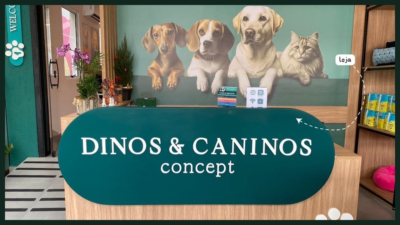 LOJA DO PET SHOP DINOS & CANINOS CONCEPT - YouTube