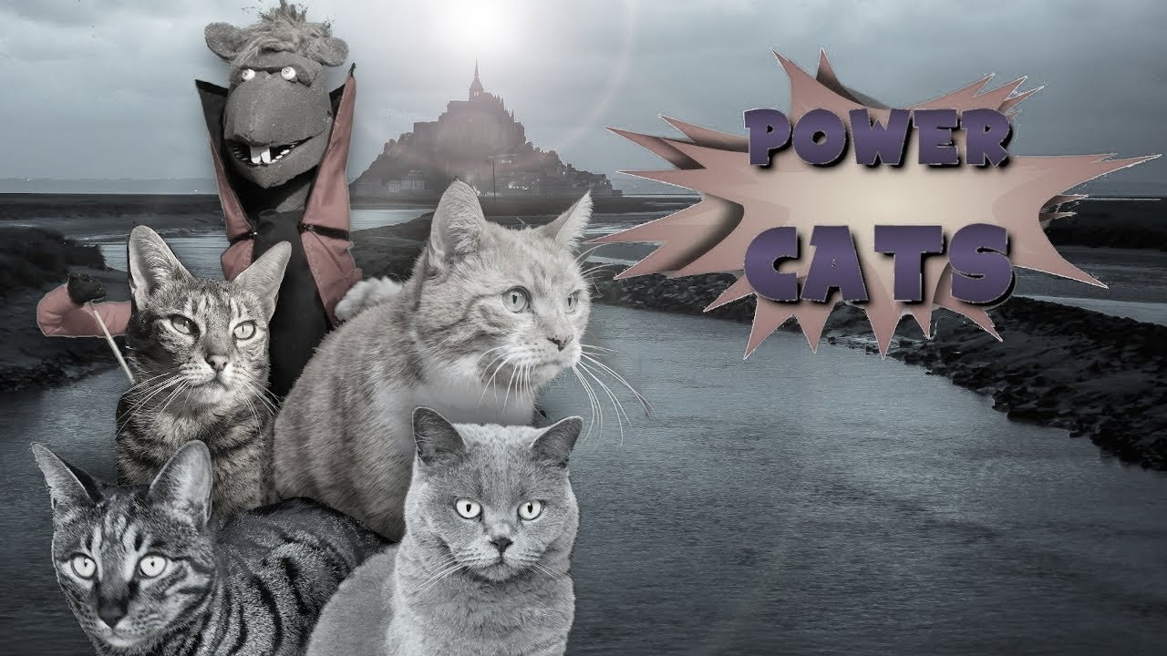 The Snyder Cut | Power Cats The Movie - YouTube