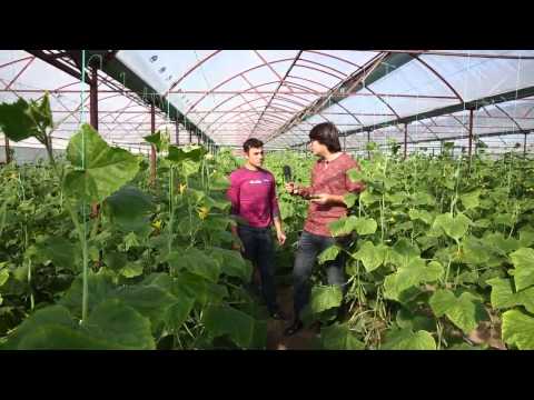 Fazla Mesai Sera Bölümü