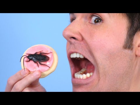SURPRISE IN COOKIE!