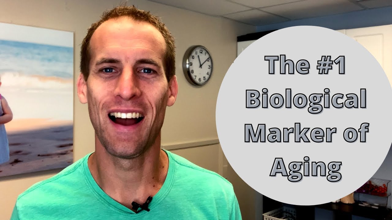 The #1 Biological Marker of Aging - YouTube