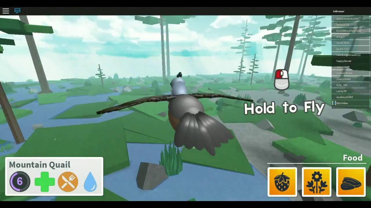 Let's Play Bird Simulator - YouTube