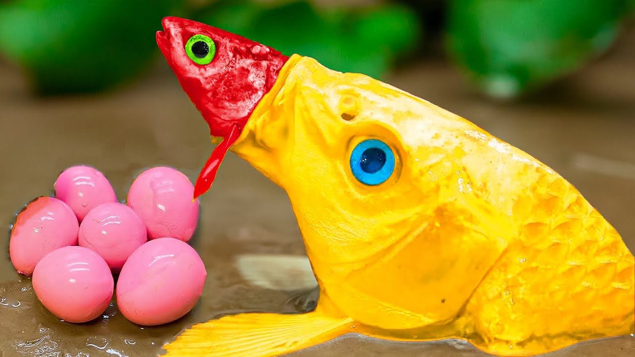 ️Fish Videos ️ Koi Fish Confront Carnivorous PACMAN, Green Frog and ...