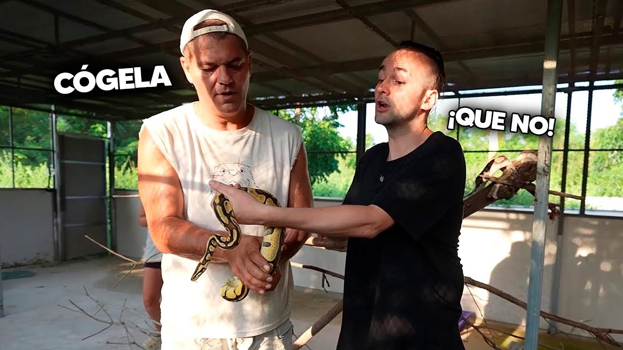 ¡XOKAS (con pelo) en EL SANTUARIO de FRANK ft. PLEX! 🐍 - YouTube