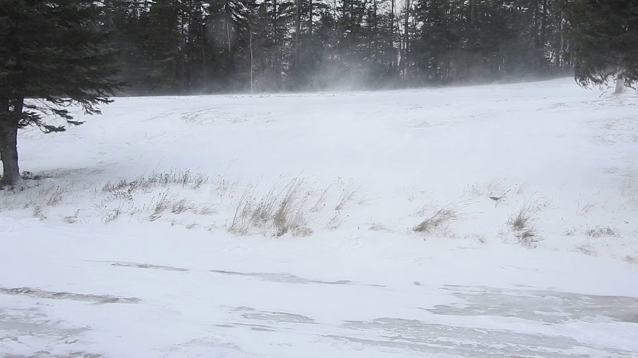 Snownado near Deer lake NL #Snownado - YouTube