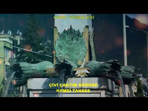 ÇİVİ ÇAKTIM SÖĞÜDE HAMDİ TANSES