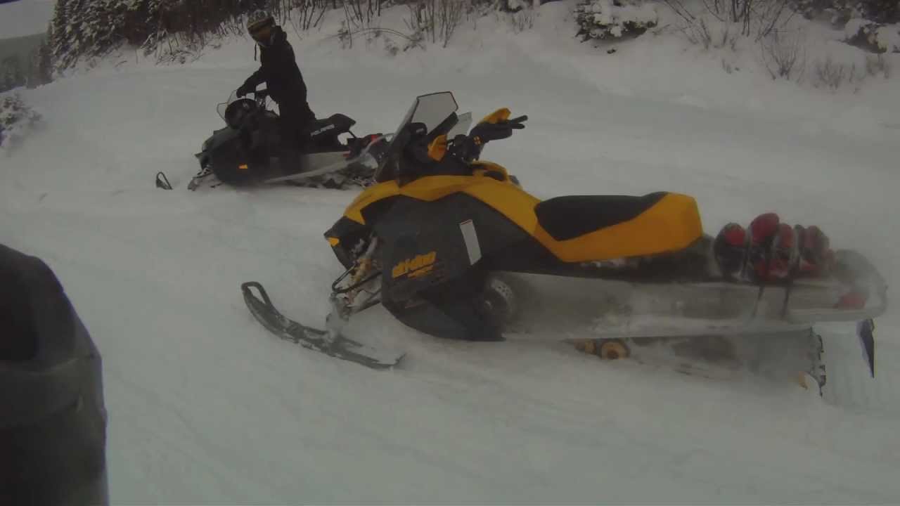 2013 Season opener snowmobile ride w/ moose. - YouTube
