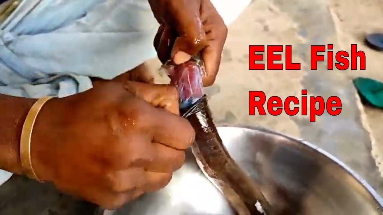 Eel Fish Recipe • Kuche Fish Recipe | Delicious Snake Fish Recipe - YouTube