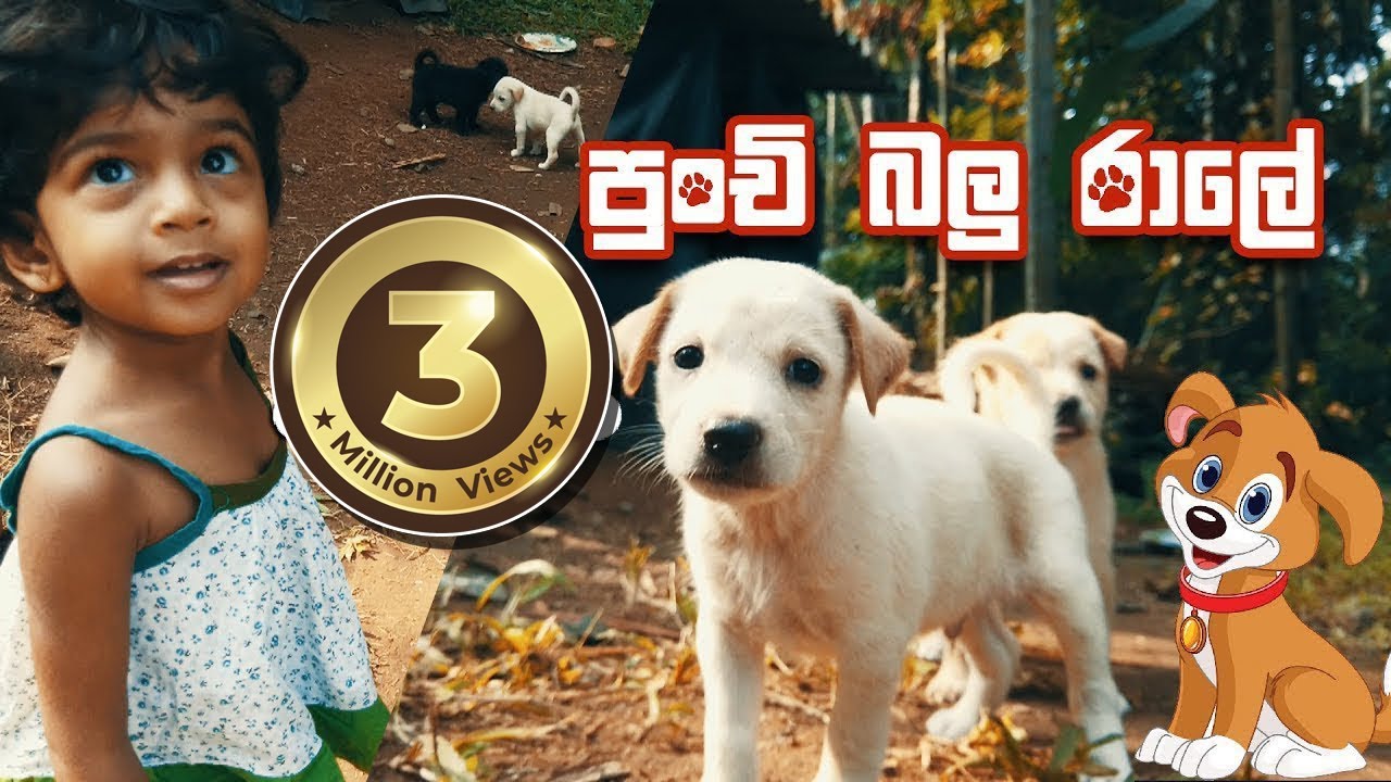 Punchi Balu Ralee | පුංචි බලු රාලේ | Sinhala Nursery Rhyme | Sinhalese ...