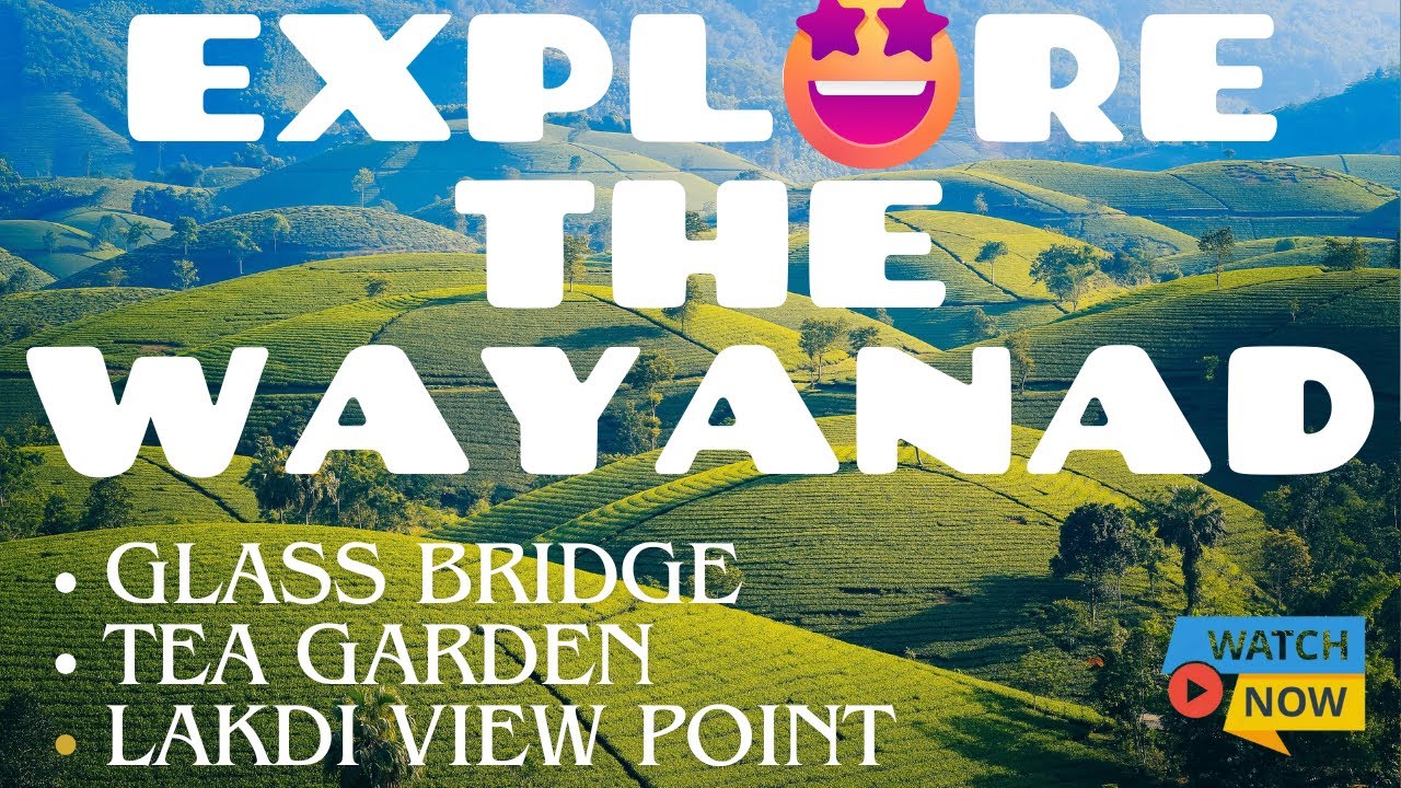 Wayanad Travel Guide: Must-See Spots in Kerala’s Scenic Haven - YouTube